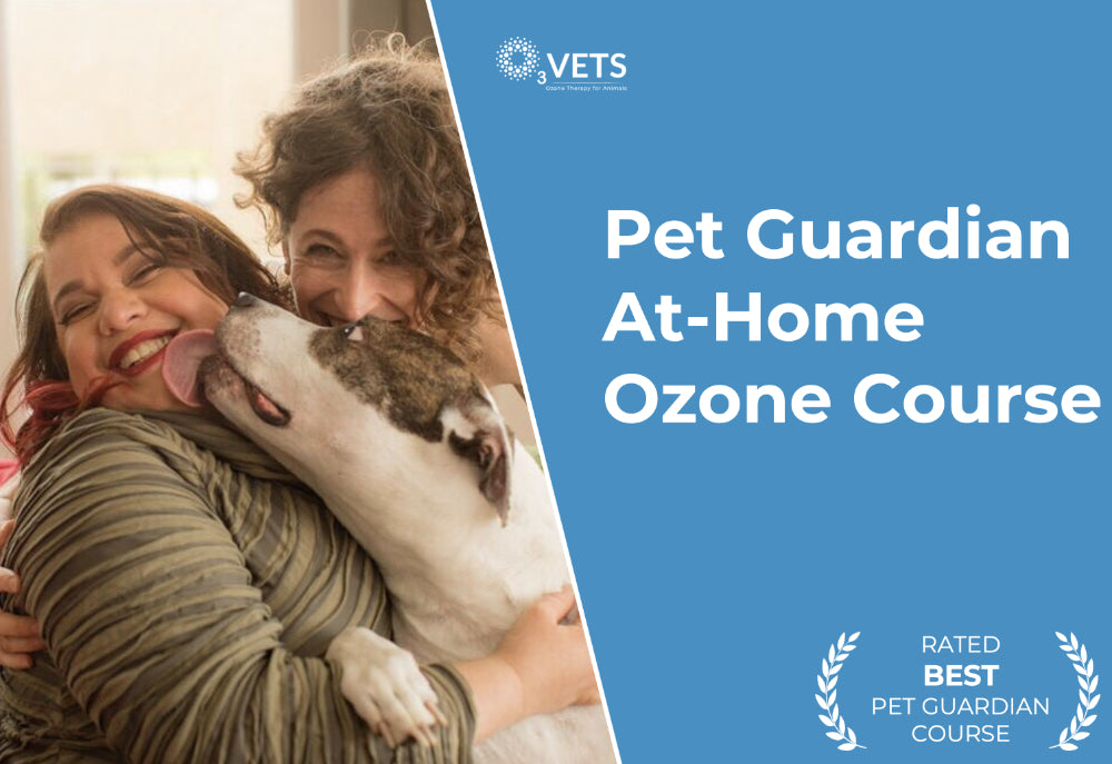 Products Page 2 - O3Vets