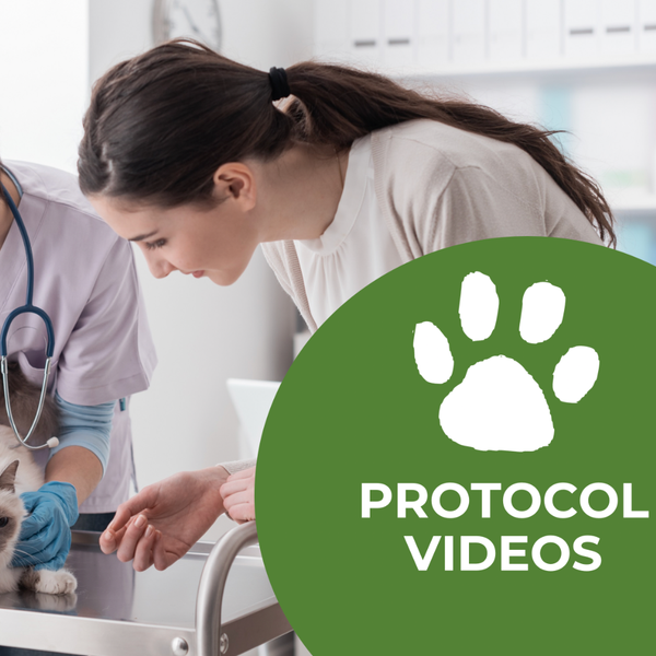 Veterinary Ozone Protocol Videos - O3Vets